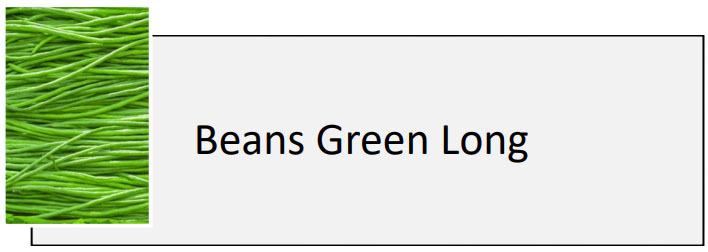 Beans Green Long - AMEXY GT. Distributor & Supplier in Seychelles ...