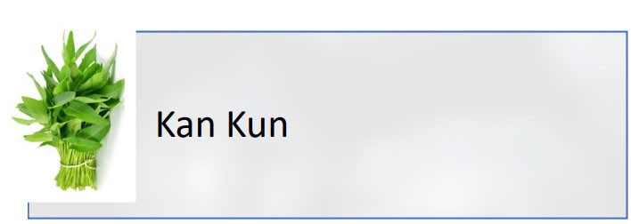 Kan Kun - AMEXY GT. Distributor & Supplier in Seychelles, Maldives, & UAE